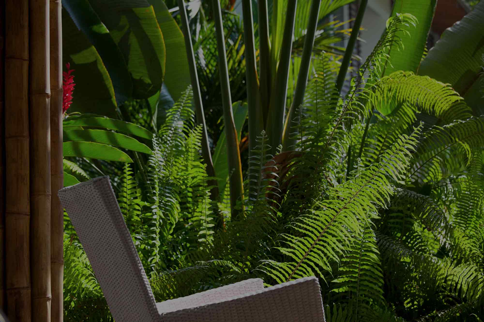 Heilpraxis PT Andrea Rauer Psychotherapie und Hypnose